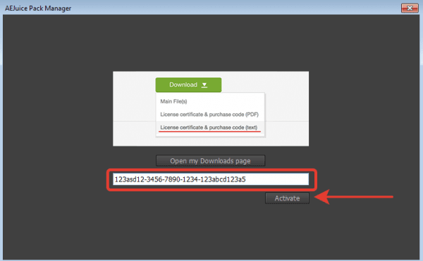 How to install and activate purchased products? - AEJuice