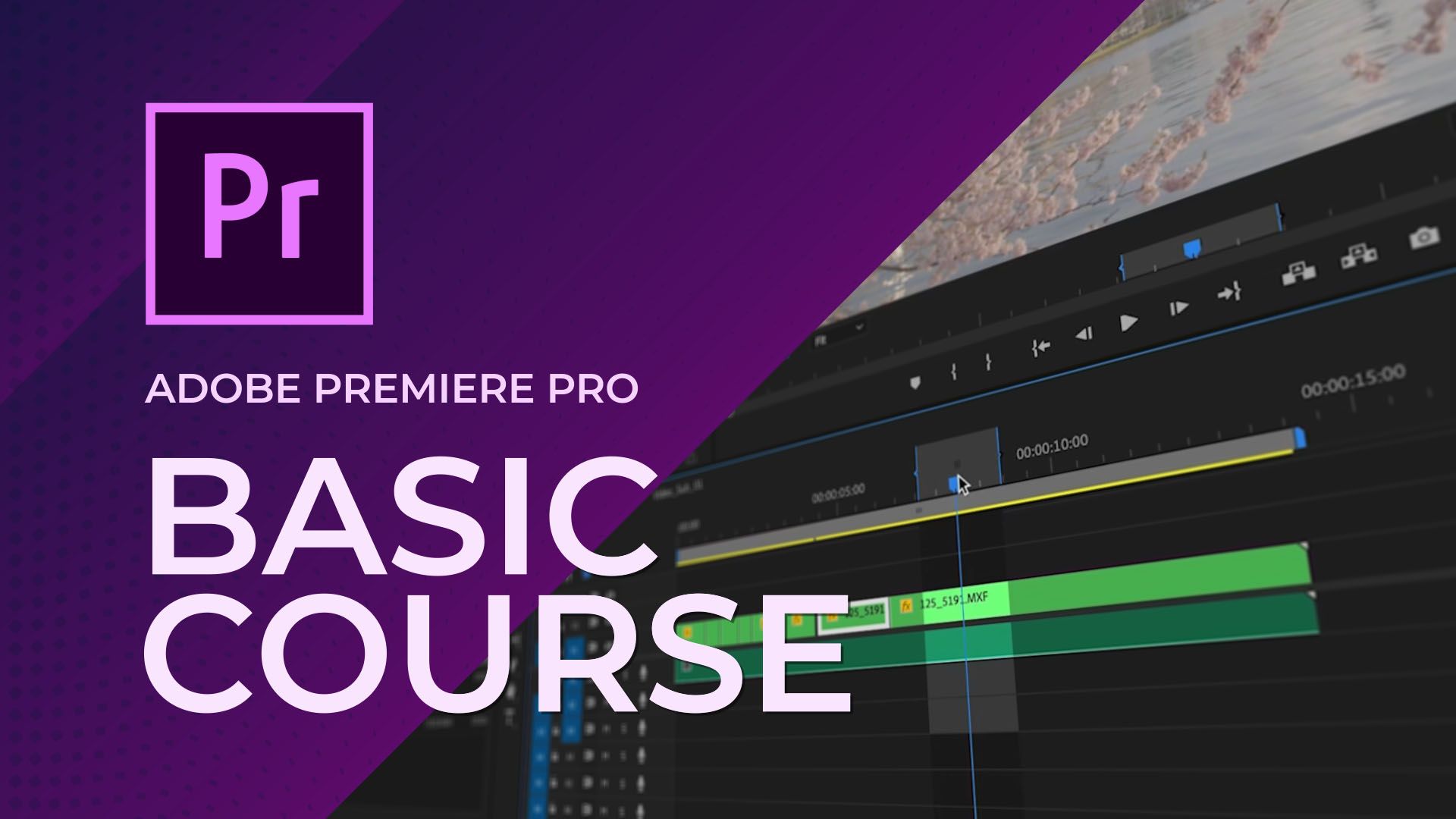 I Want To Learn It All Bundle for After Effects and Premiere Pro - AEJuice