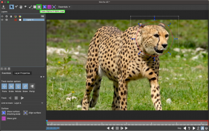 How to use Mocha tracking in After Effects | aejuice.com