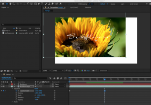 How to Use Anchor Point in After Effects | aejuice.com
