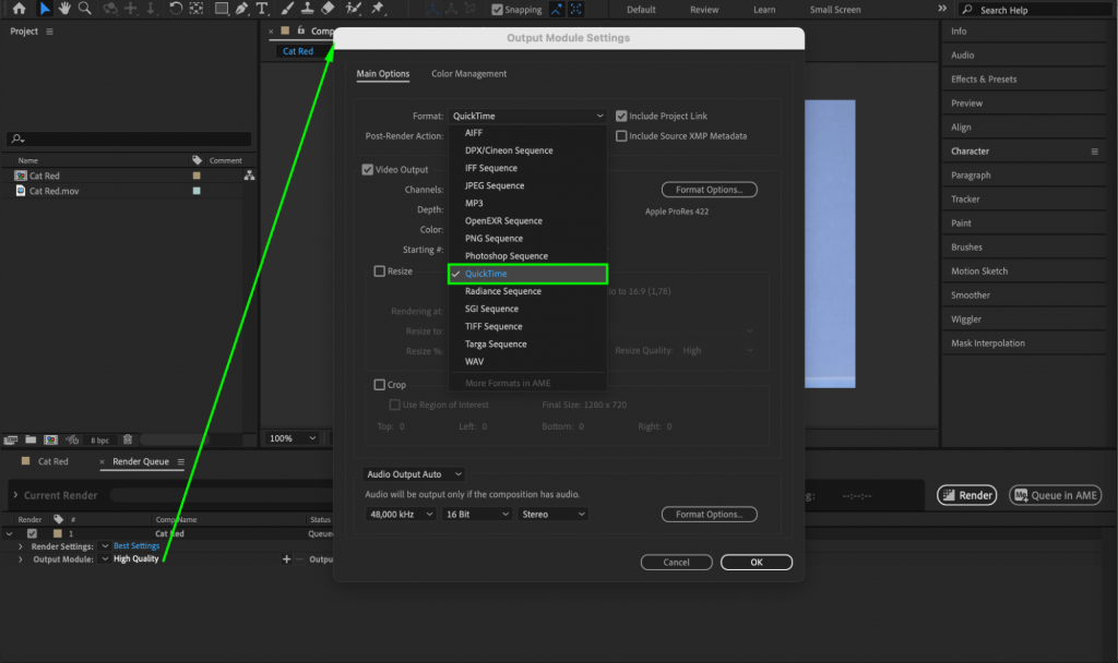 How to Export Video from After Effects Without Adobe Media Encode ...