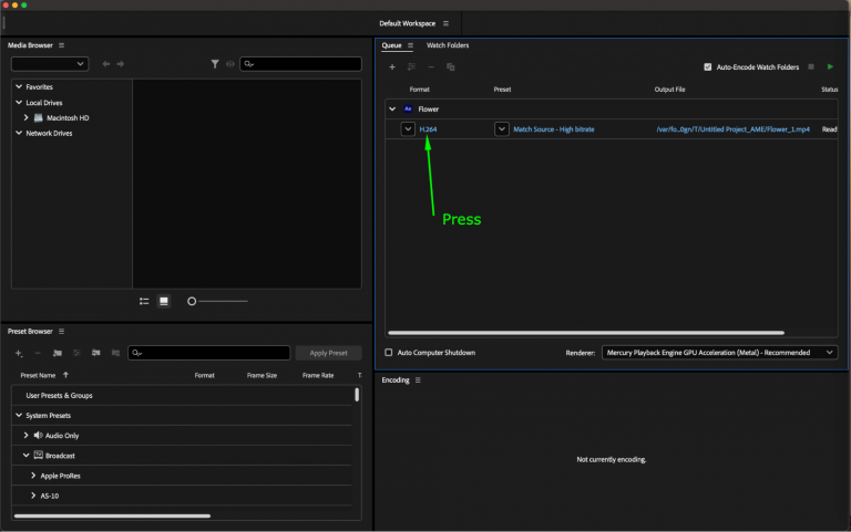 How to Export Transparent MP4 In After Effects | aejuice.com