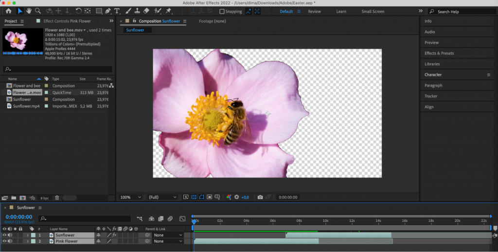How to Morph Objects in After Effects | aejuice.com