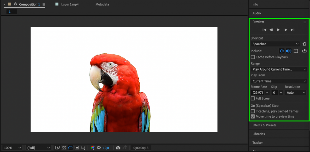 How to Use the Roto Brush Tool in After Effects | aejuice.com