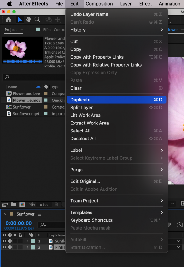 How to Morph Objects in After Effects | aejuice.com