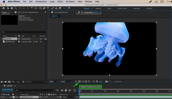 How to Export Transparent Background in After Effects | aejuice.com