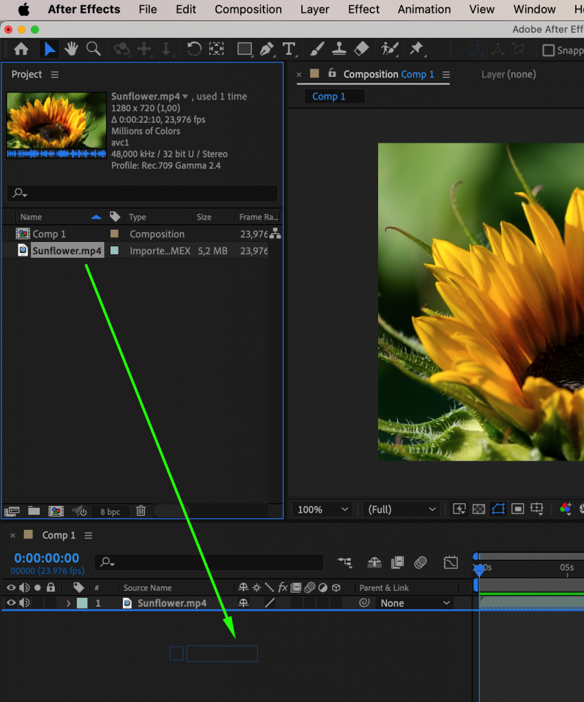 How to Play a Video in Reverse in After Effects | aejuice.com