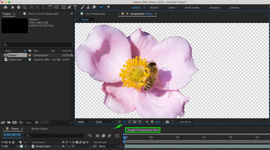 How to Export Transparent MP4 In After Effects | aejuice.com