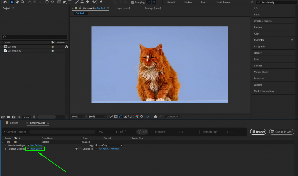 How to Export Video from After Effects Without Adobe Media Encode ...