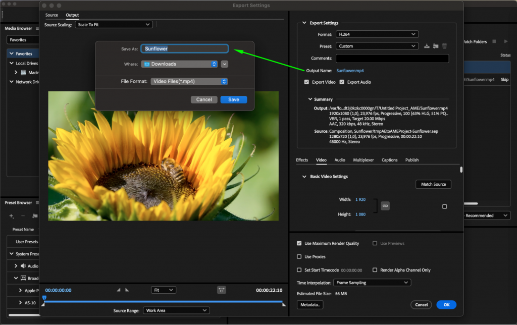 How to Export an MP4 From After Effects | aejuice.com