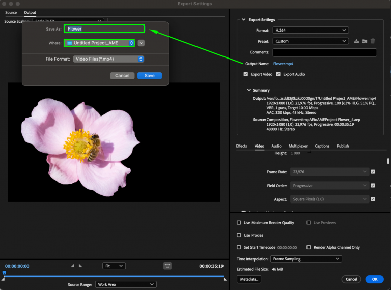 How to Export Transparent MP4 In After Effects | aejuice.com