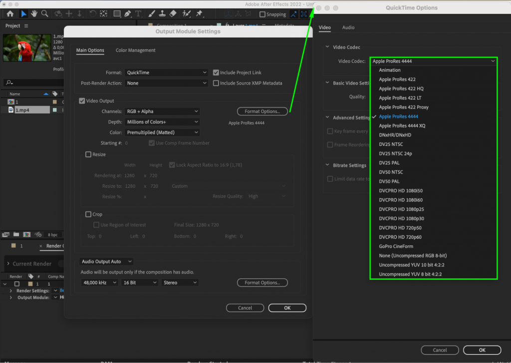 How to Set Output Module in After Effects | aejuice.com