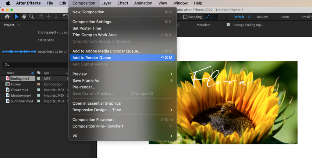 How to Use Adobe After Effects to Make an Intro | aejuice.com