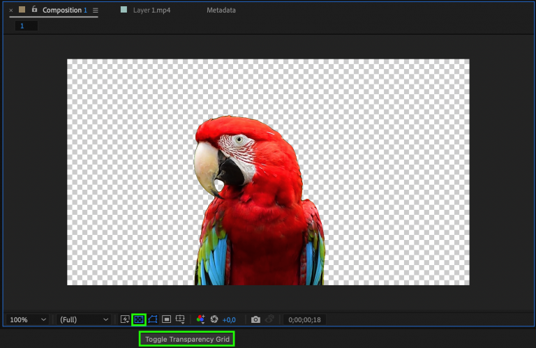 How to Use the Roto Brush Tool in After Effects | aejuice.com