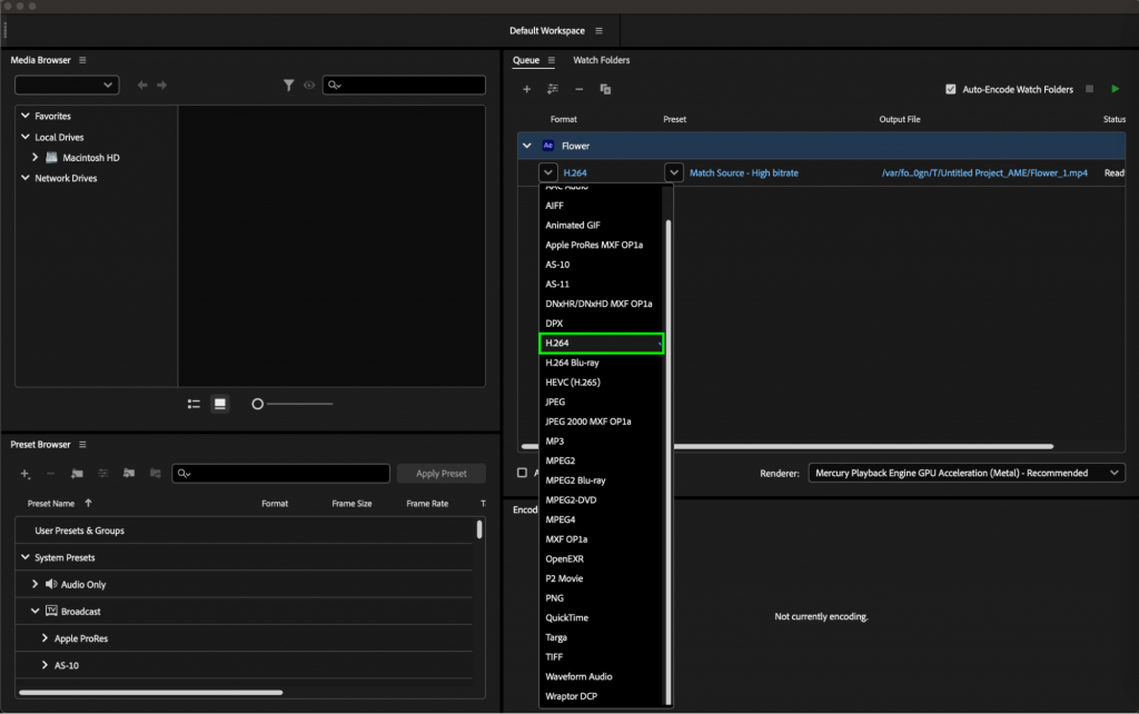 How to Export Transparent MP4 In After Effects | aejuice.com