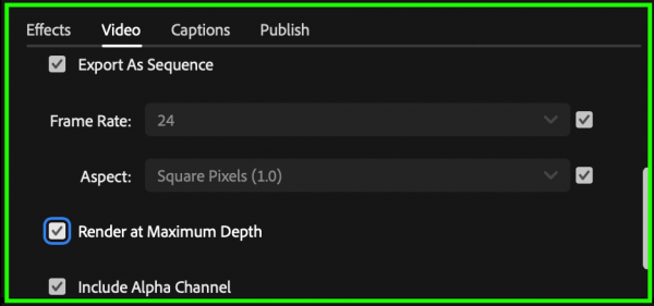 How to Export PNG from After Effects | aejuice.com