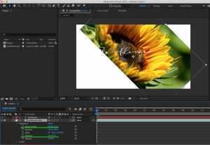 How to Use Anchor Point in After Effects | aejuice.com