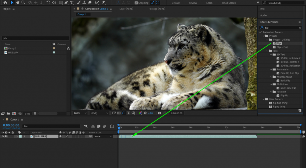 How to Invert a Video in After Effects | aejuice.com