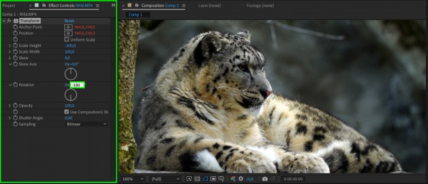 How to Invert a Video in After Effects | aejuice.com