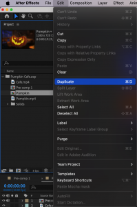 How to Duplicate Composition in After Effects | aejuice.com