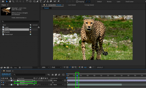 How to Use Opacity in After Effects | aejuice.com