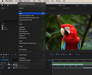 How to Copy and Paste Keyframes in After Effects | aejuice.com