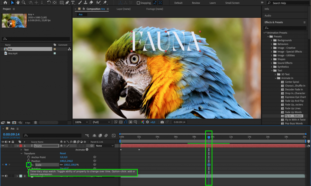How to Add Text to Videos Using Adobe After Effects | aejuice.com