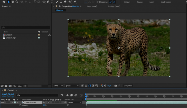 How to Use Opacity in After Effects | aejuice.com