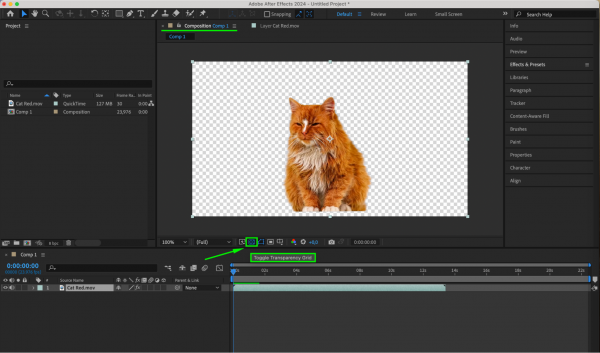 How to Make Transparent Background After Effects | aejuice.com