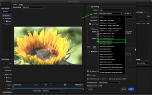 How to Render to MP4 in After Effects | aejuice.com