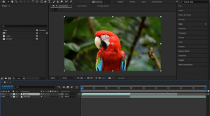 How to Copy and Paste Keyframes in After Effects | aejuice.com