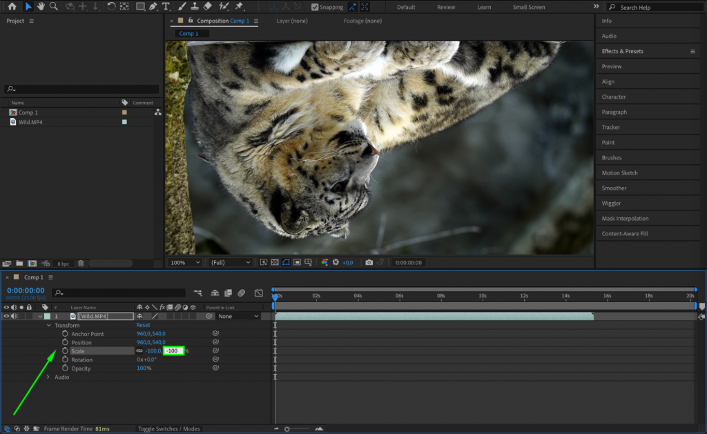 How to Invert a Video in After Effects | aejuice.com