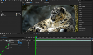 How to Make Keyframe in After Effects | aejuice.com