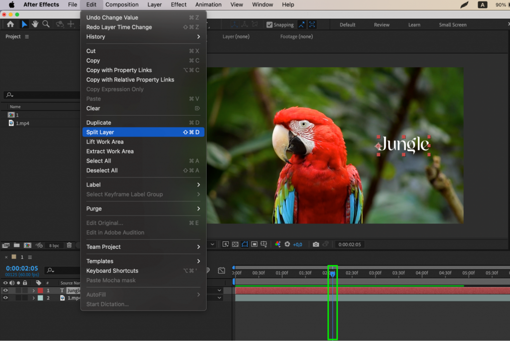 How to Trim After Effects Timeline | aejuice.com