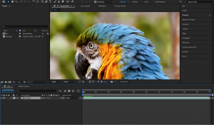 How to Add Timeline Marker in After Effects | aejuice.com