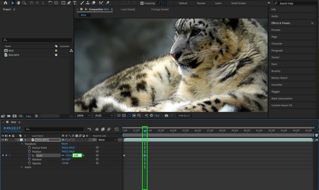 How to Make Keyframe in After Effects | aejuice.com