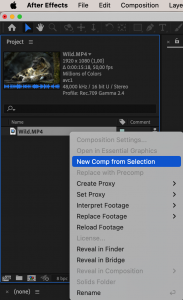 How to Cut Out Background in After Effects | aejuice.com