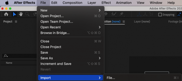 How to Make Black and White in After Effects | aejuice.com
