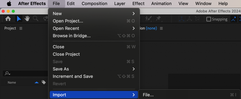 How to Insert Picture in After Effects | aejuice.com