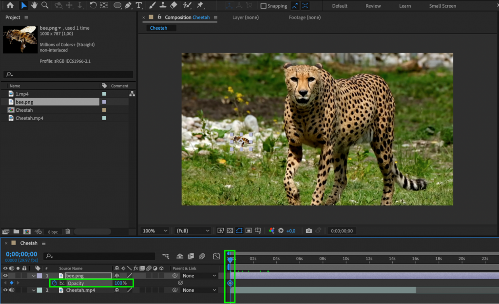 How to Use Opacity in After Effects | aejuice.com