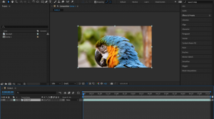 How to Create Mask in After Effects | aejuice.com