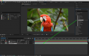 How to Add Audio to Adobe After Effects | aejuice.com