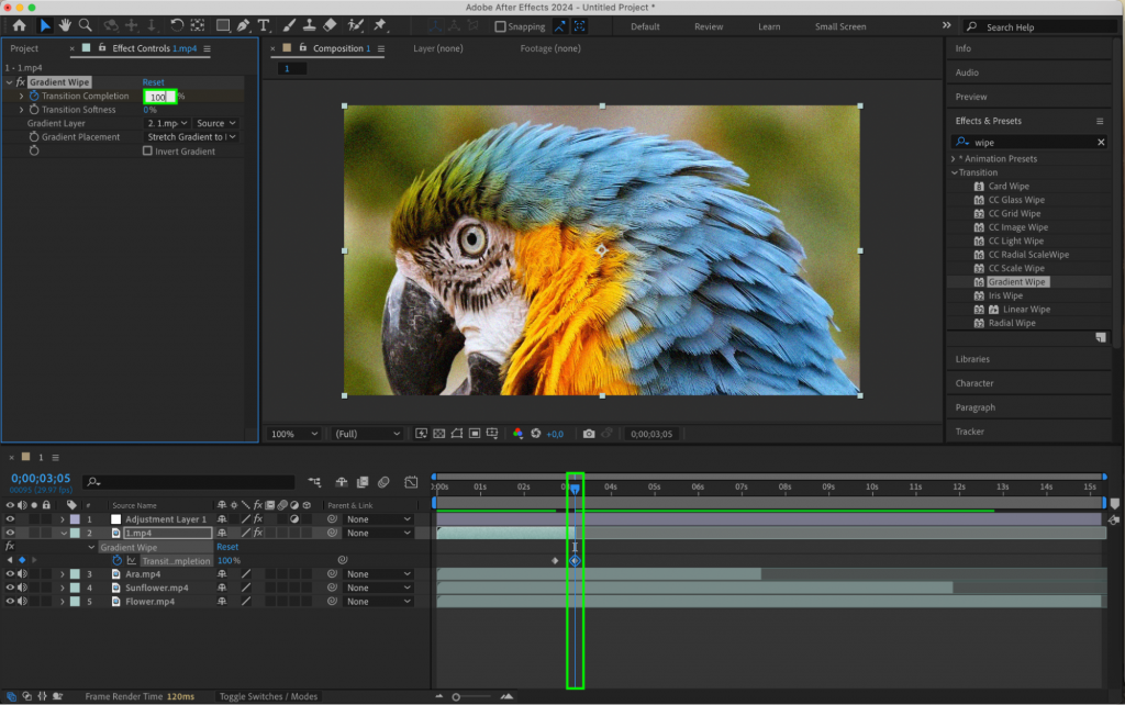 How to Add Multiple Clips in After Effects | aejuice.com