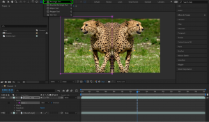 How to Flip Video in After Effects | aejuice.com