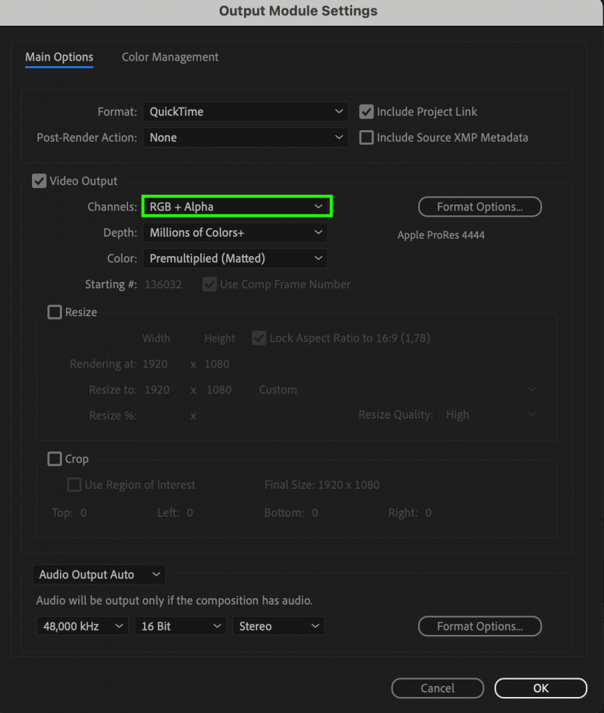 How to Export Alpha in After Effects | aejuice.com