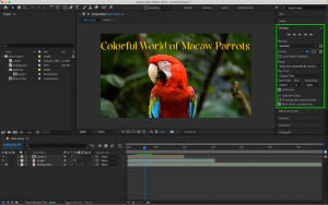 How to Import into After Effects | aejuice.com