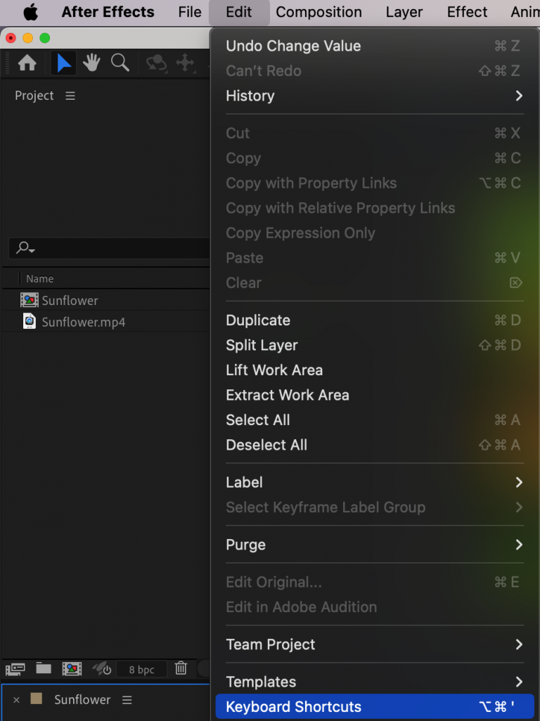 How to Go to Next Frame in After Effects | aejuice.com
