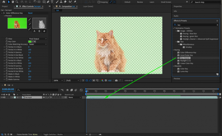 How to Make Green Screen in After Effects | aejuice.com