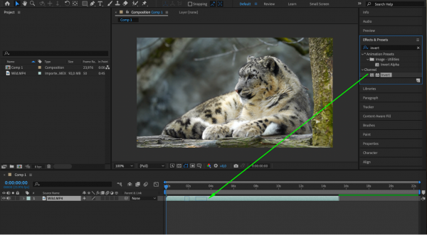 How to Invert in After Effects | aejuice.com