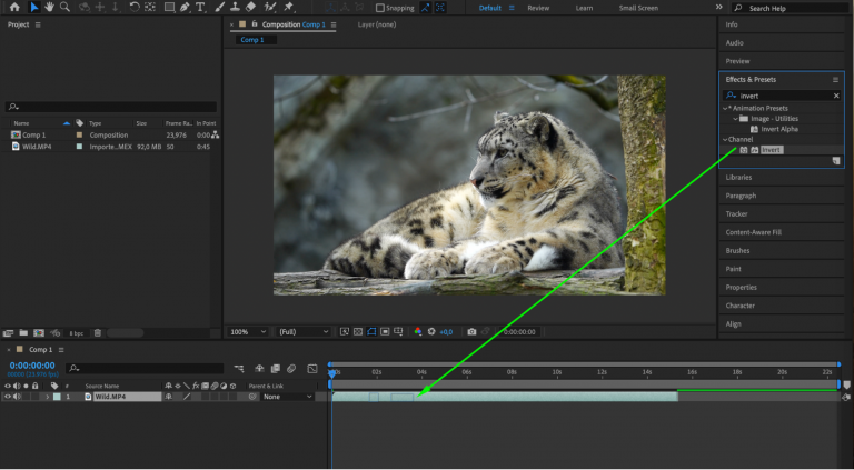 How to Invert in After Effects | aejuice.com